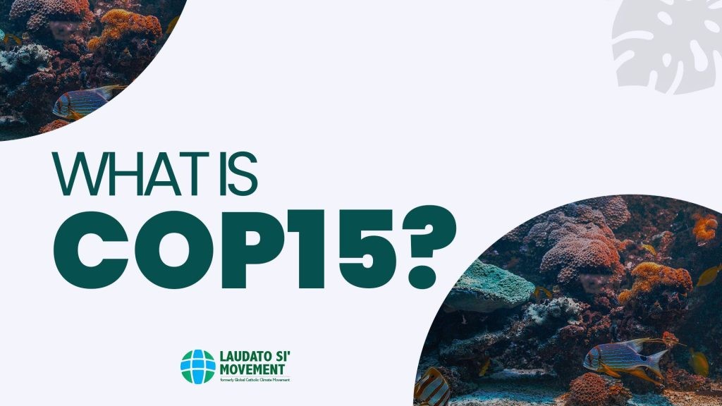 What is COP15? - Social Justice and Ecology Secretariat